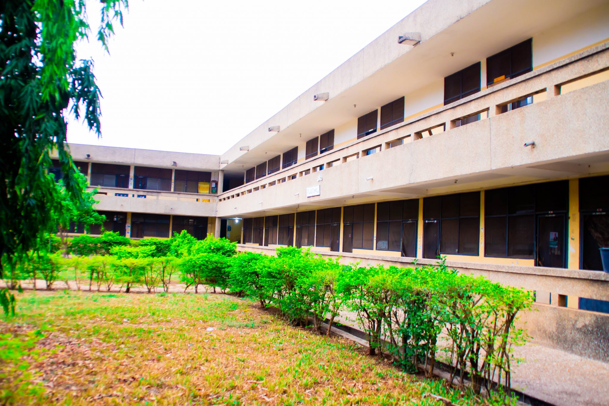 Home | College of Health and Well-Being